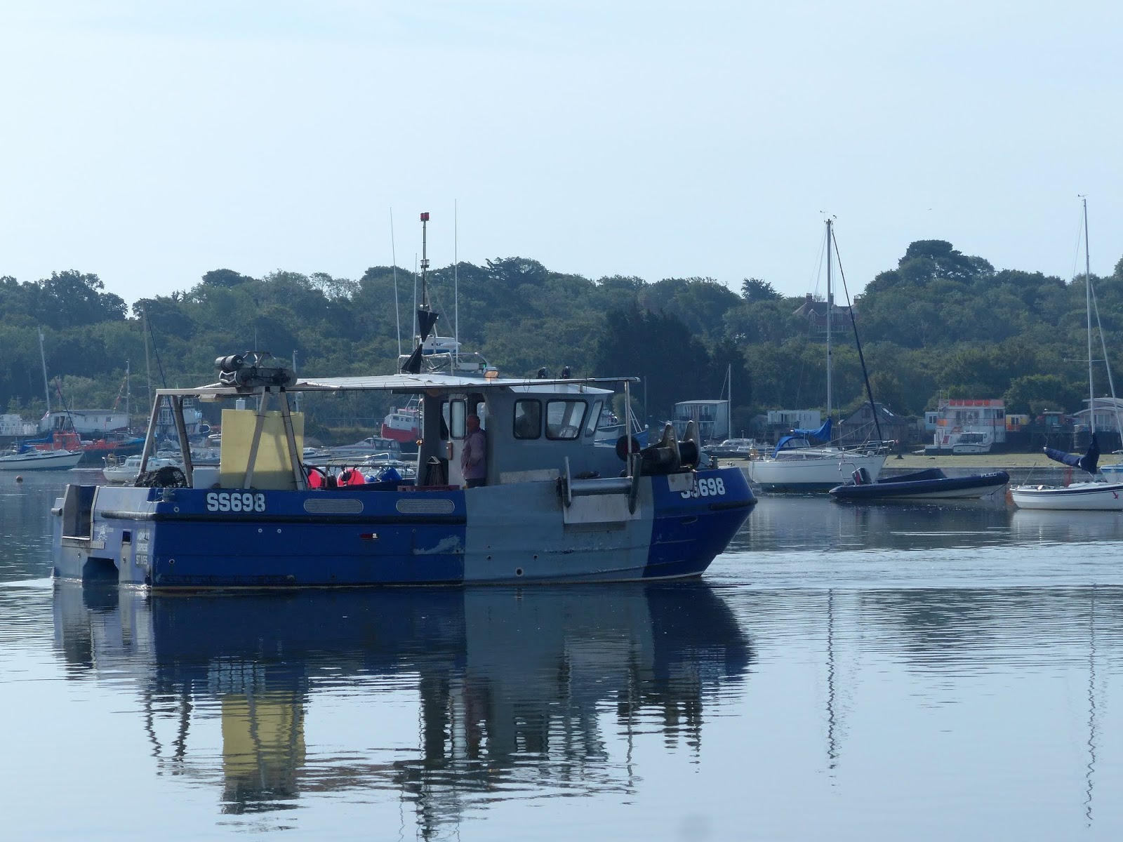 Birding For Pleasure: Reflections at Duver Marina