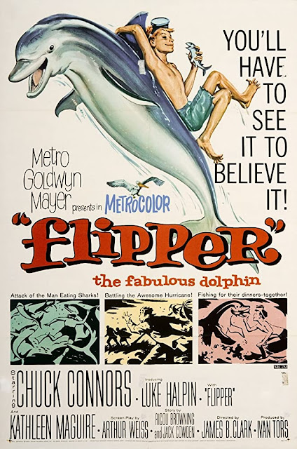 Por onde Anda? O Elenco da Série Flipper