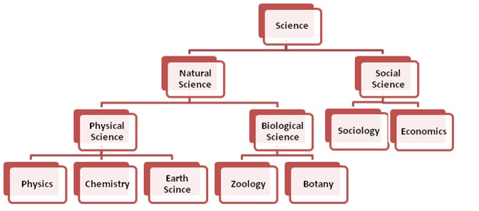 Branches of Science