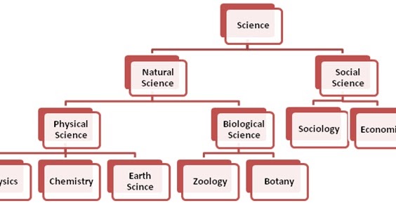 Branches Of Science branches-of-science