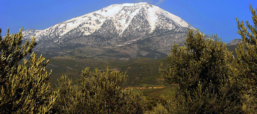ΙΣΤΟΡΙΚΟ ΚΑΙ ΛΑΟΓΡΑΦΙΚΟ ΑΡΧΕΙΟ ΣΤΕΝΗΣ: ΟΝΟΜΑΤΟΛΟΓΙΑ ΤΗΣ ΔΙΡΦΗΣ (του ...