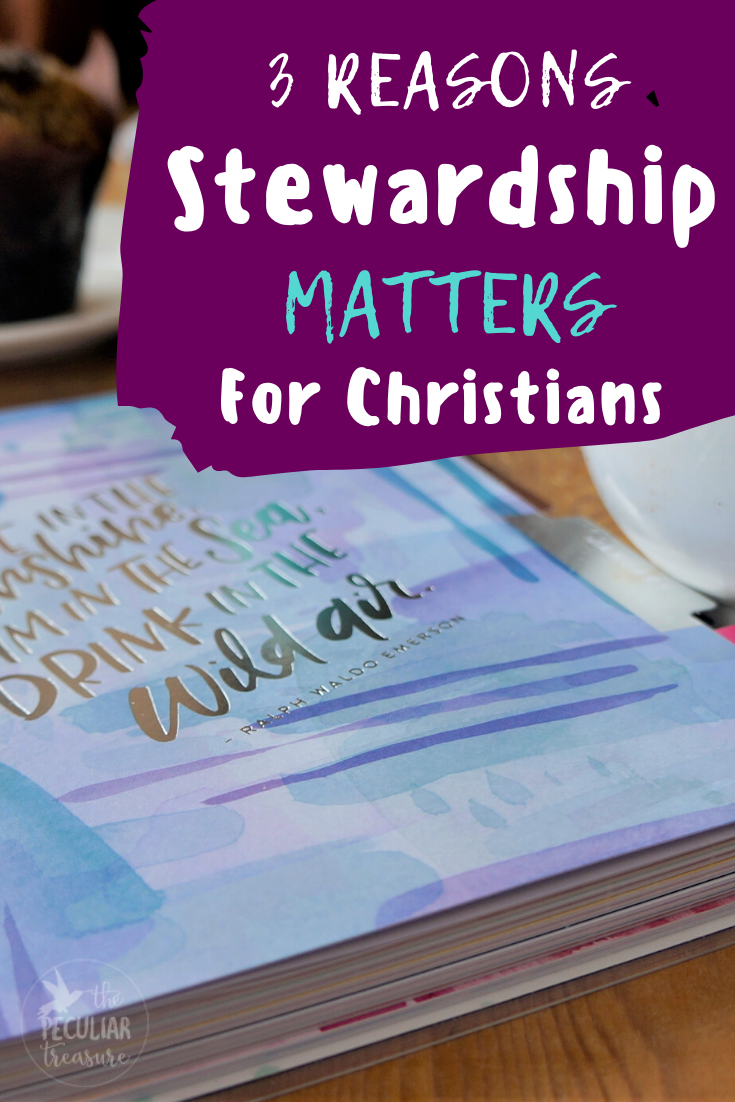 The Peculiar Treasure: Why Stewardship Matters for the Christian Life
