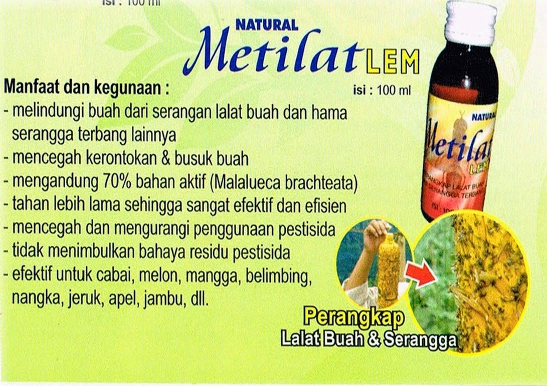 ATRAKTAN / ATRACTANT Pembasmi Serangga Dengan Aroma | AGEN DISTRIBUTOR ...