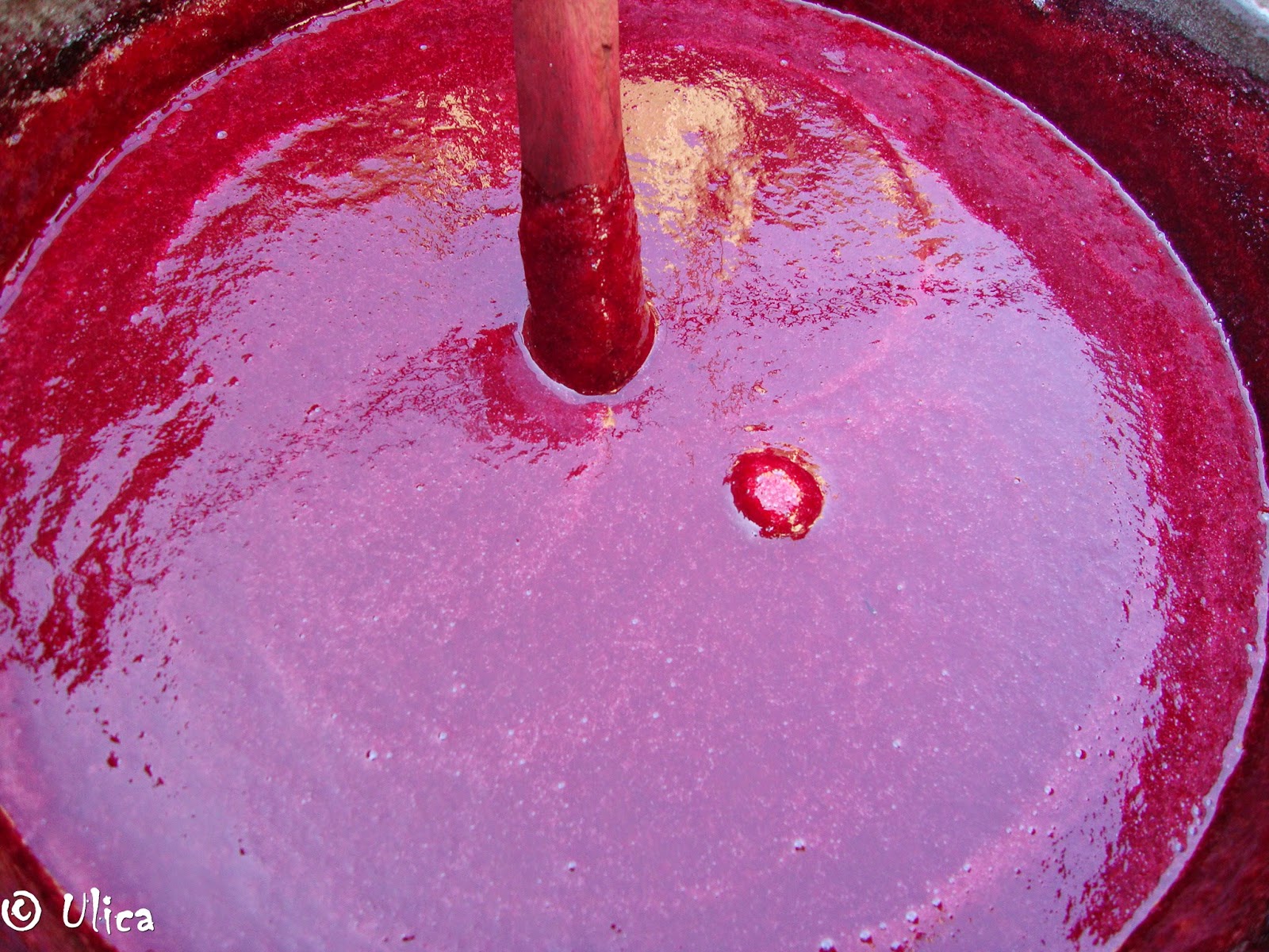 Lumea de dincolo de oglinda: Gem de coarne de padure (Cornus mas ...