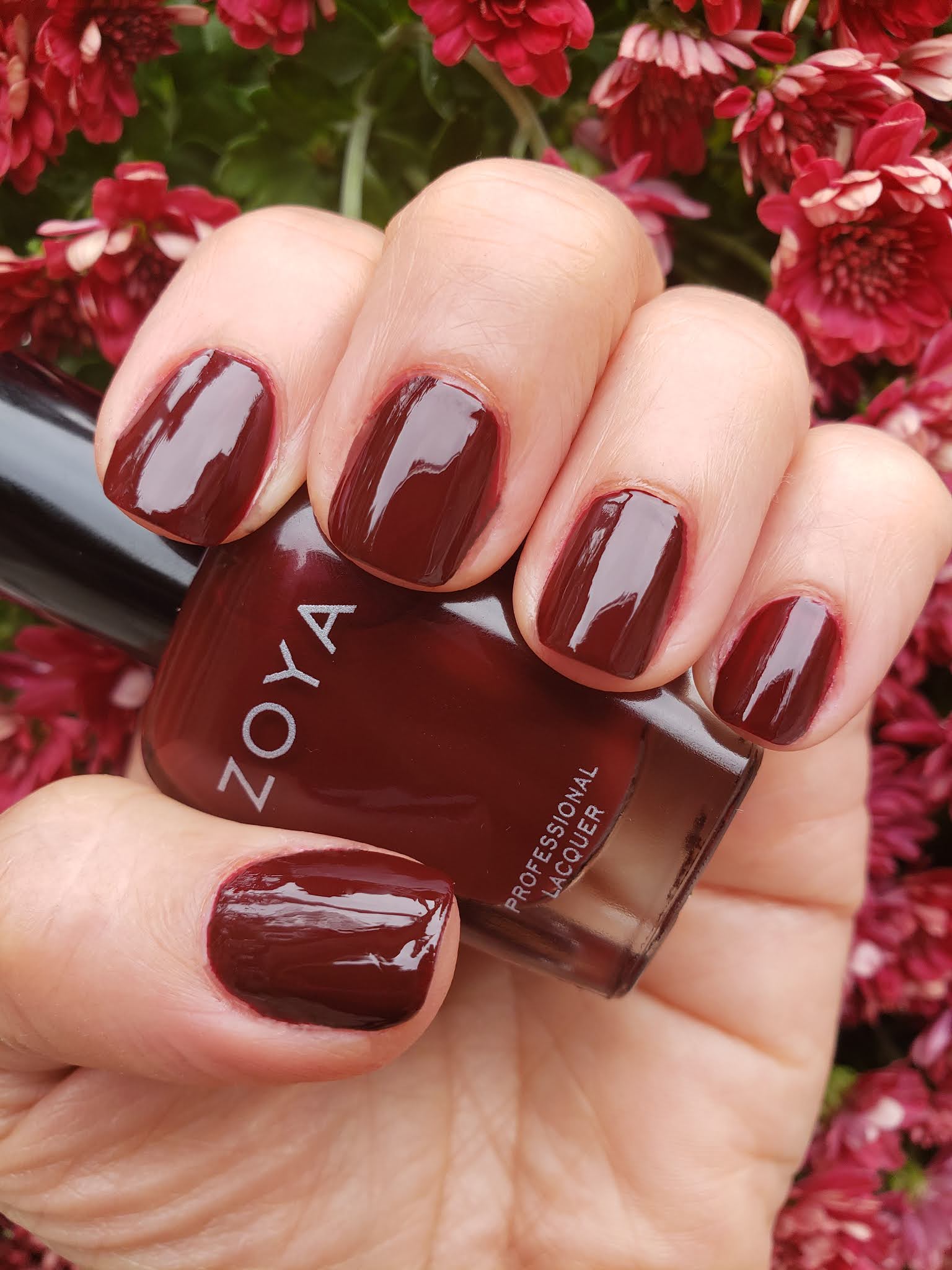 Best Pink Nail Polish 2021: Zoya Rose Palette