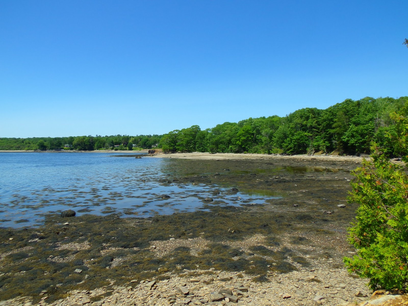 Moose Point State Park, Searsport, Maine - Fort Point State Park ...