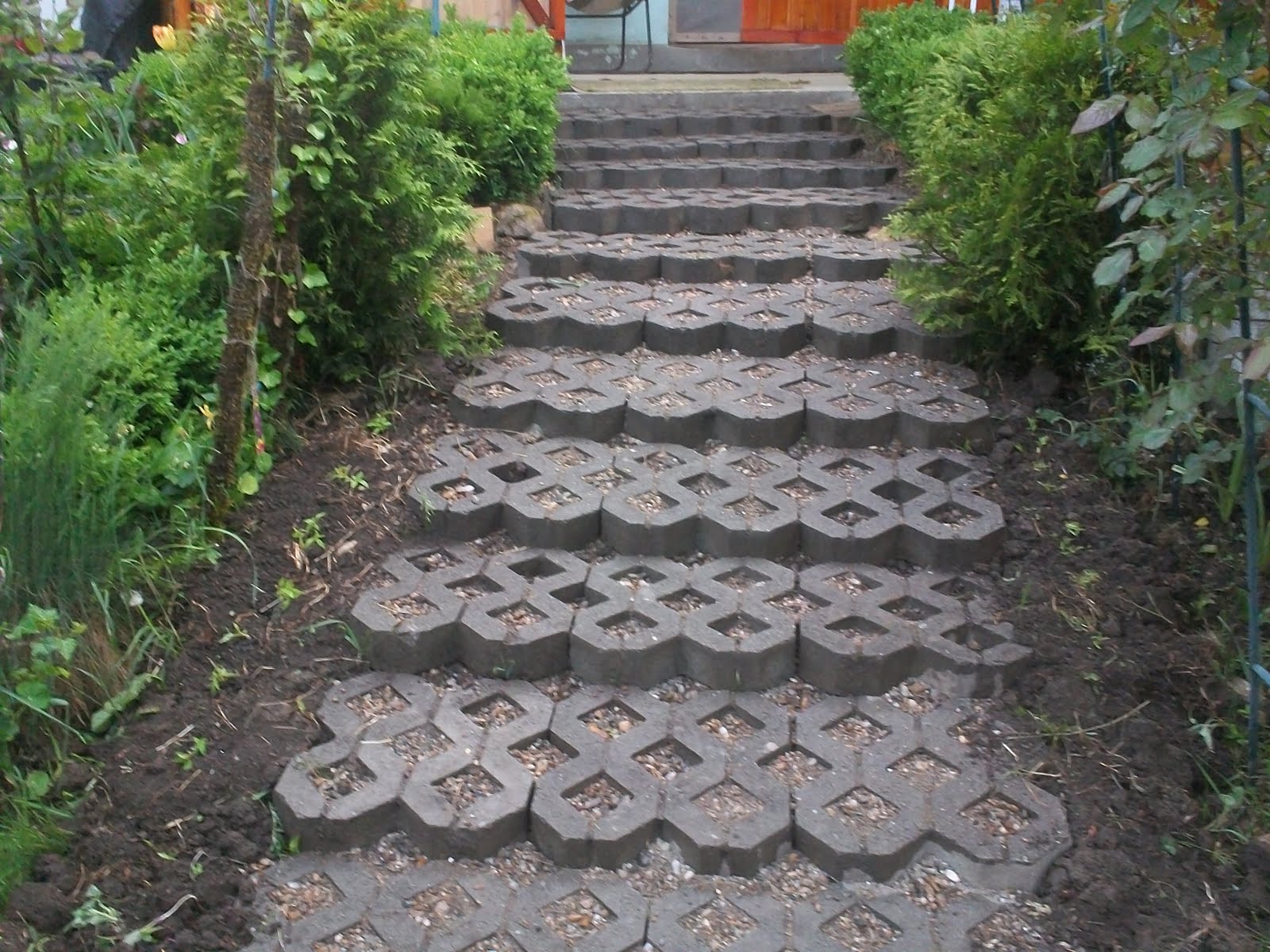 Dale inierbate | BRICOLAJ - GRADINA - SFATURI si IDEI