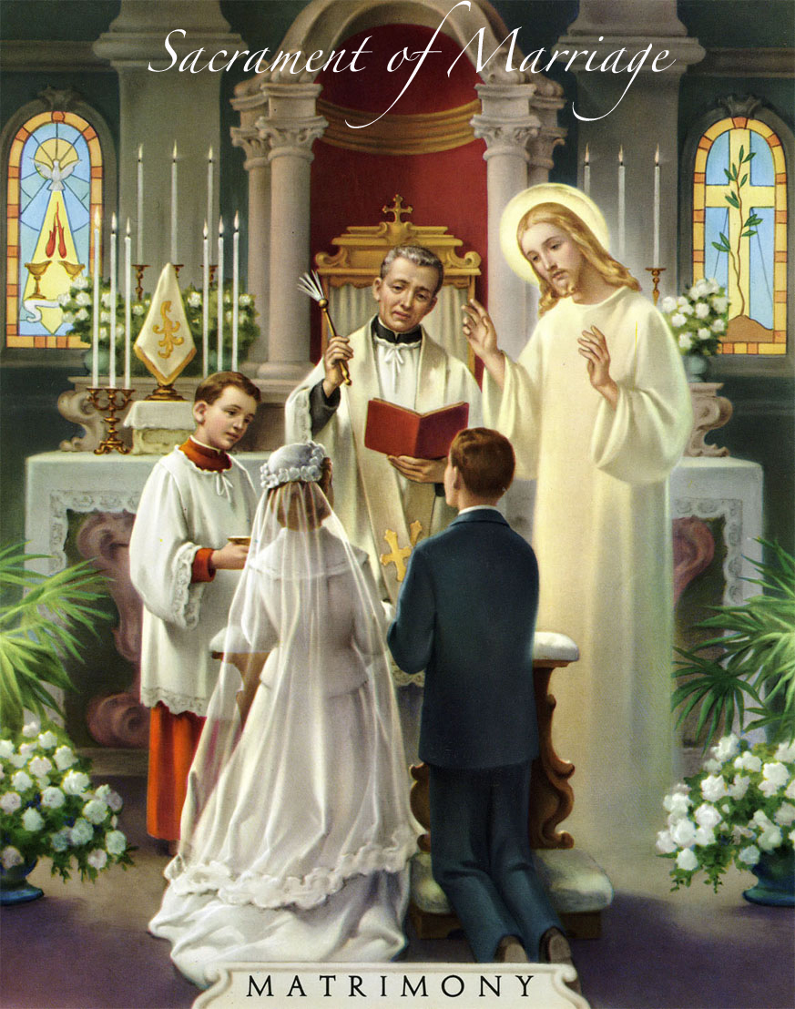 Sacerdotus: 27th Sunday in Ordinary Time - The Sanctity of Marriage
