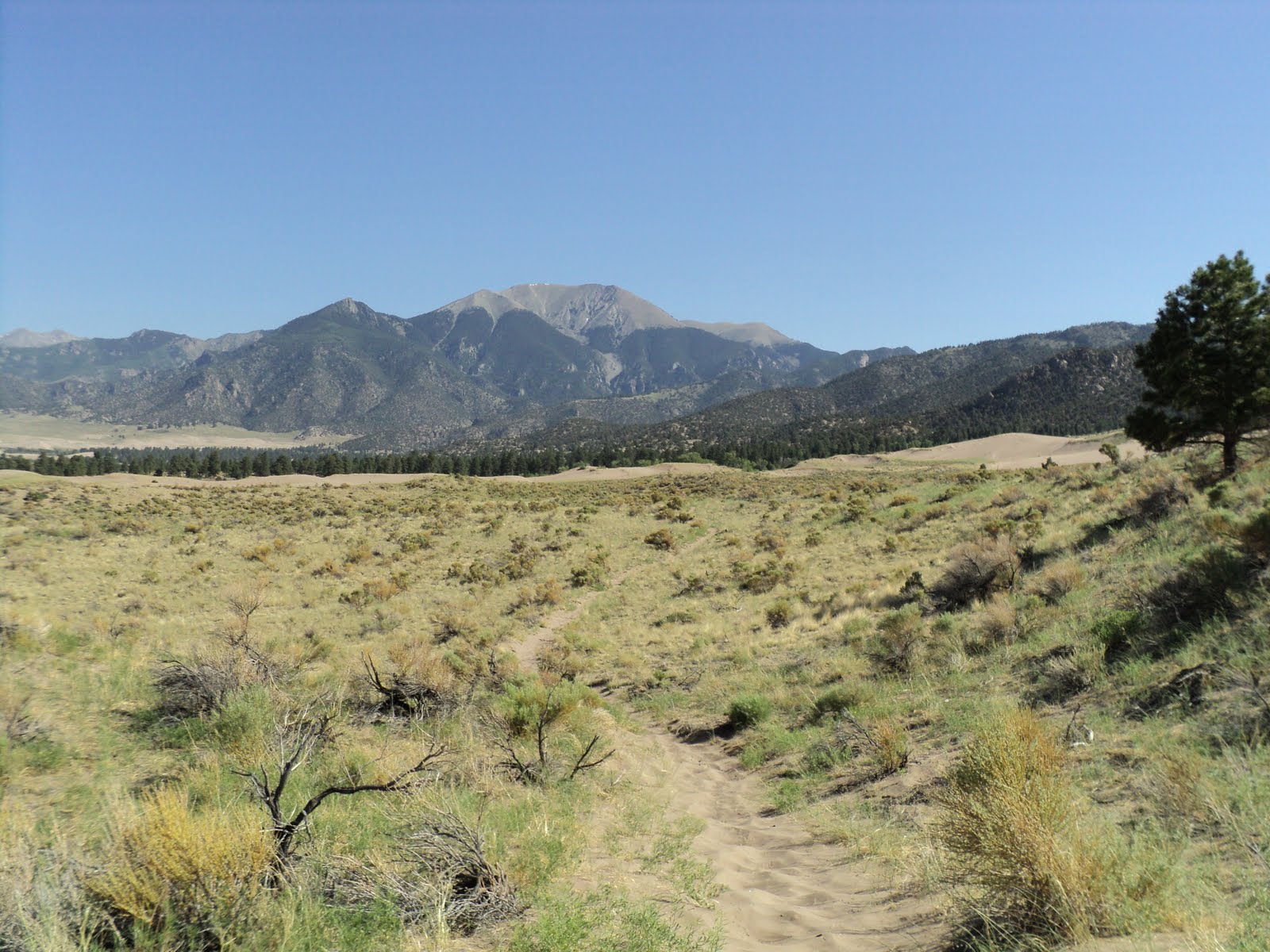 Blissful Hiking: Alternate Summer Trail Adventure - Part 1 - Sangre de ...