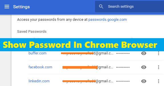 How to show Password in Chrome Browser with Pictures