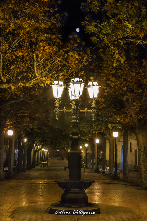 Solsones en Imagenes: Carrers i Plaçes de Solsona durant les festes de ...