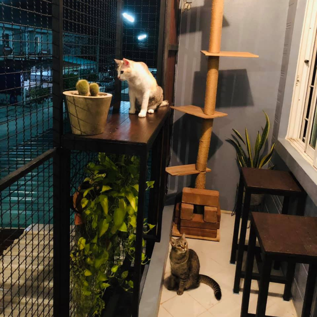 Menarik Betul Rumah Kucing Ni, Pemilik Habiskan Hampir RM10 Ribu