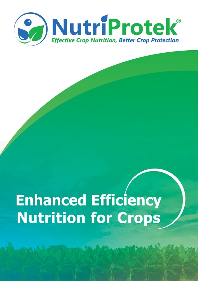Effective Crop Nutrition, Better Crop Protection: Enhanced Efficiency ...