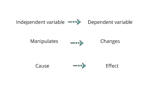What Is Experimental Method what-is-experimental-method