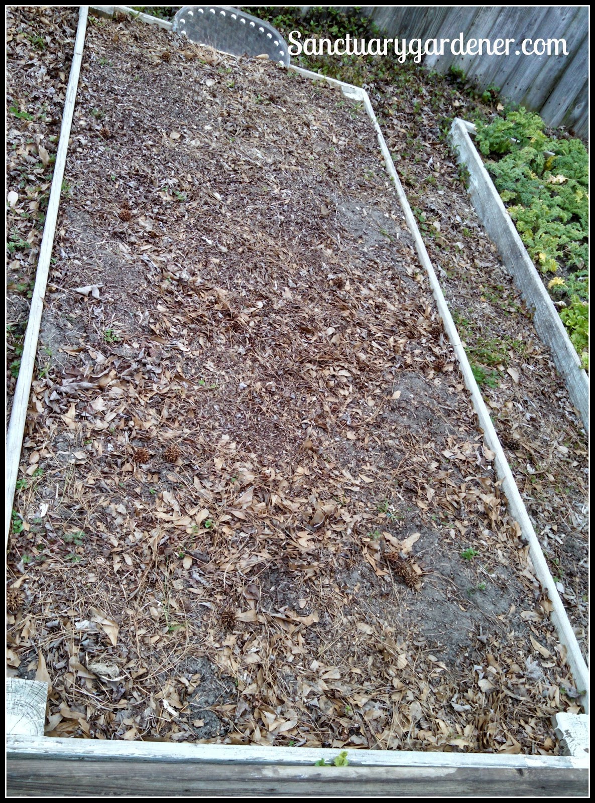 Sustainable Framework - FGCU Colloquium: Weeds, Crop Rotation, and ...