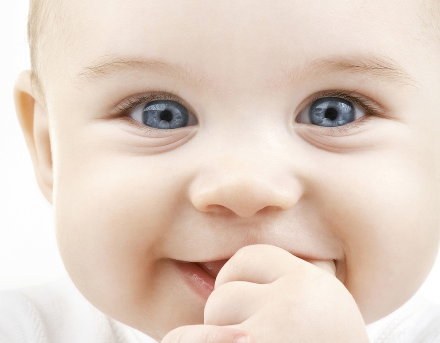 Daily Blog: dimorphous expressions