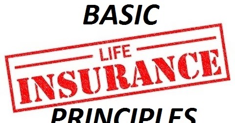 Life Insurance Information: BASIC PRINCIPLES OF LIFE INSURANCE