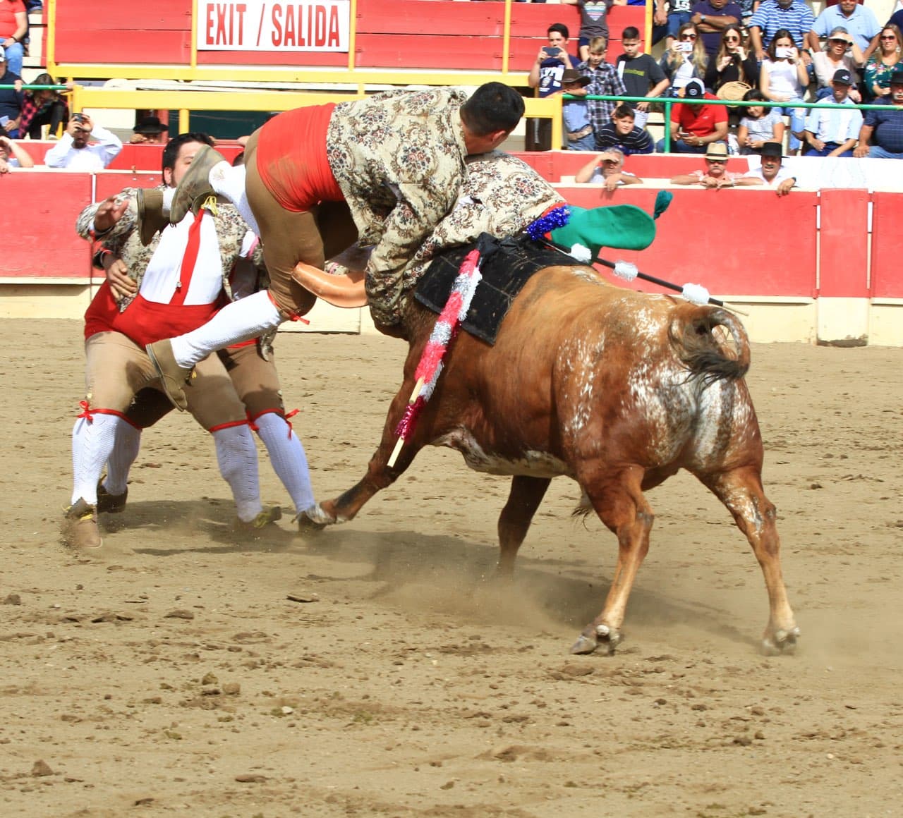 Farpas Blogue: Tony Machado disse adeus às arenas após 29 anos a honrar ...