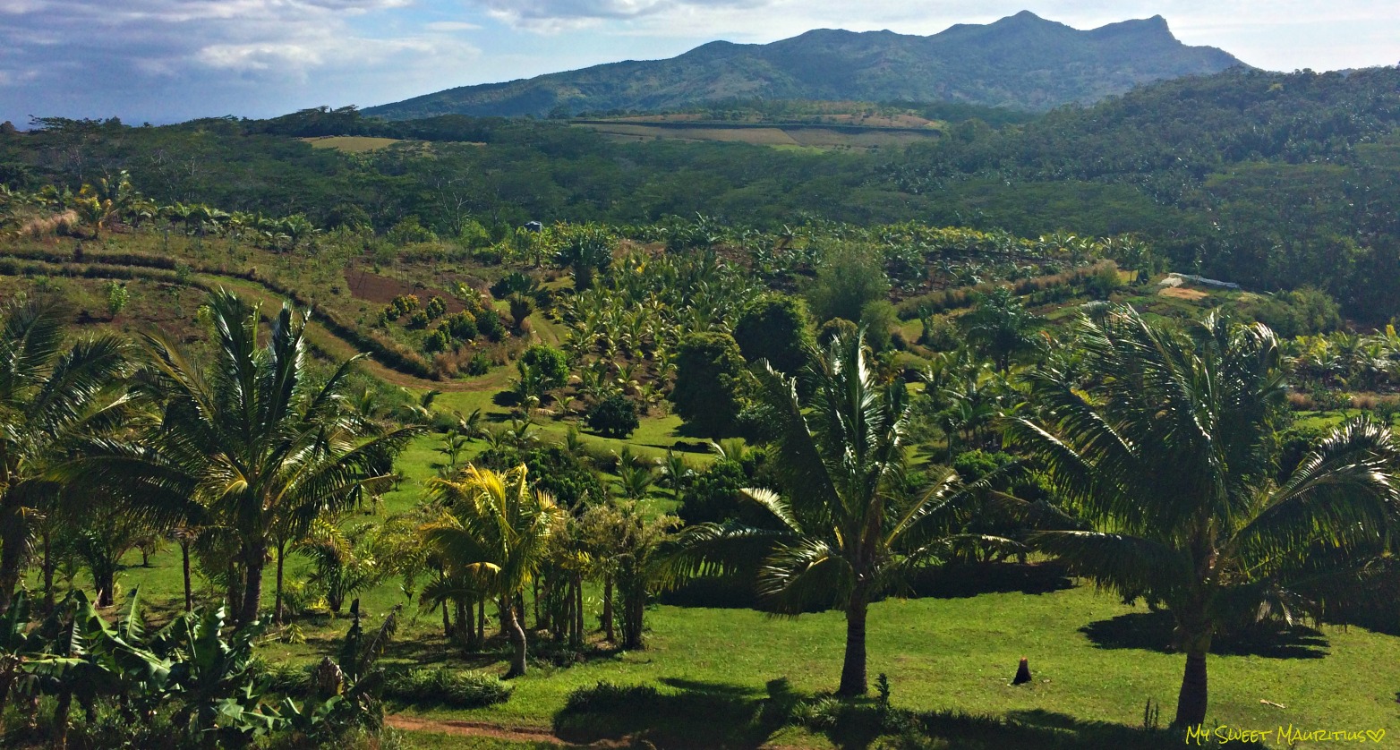 My Sweet Mauritius: LES ACHARDS DE CHARAMEL