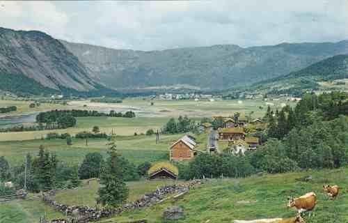 Collecting postcards, collect postcard, samle postkort. Snail mail ...