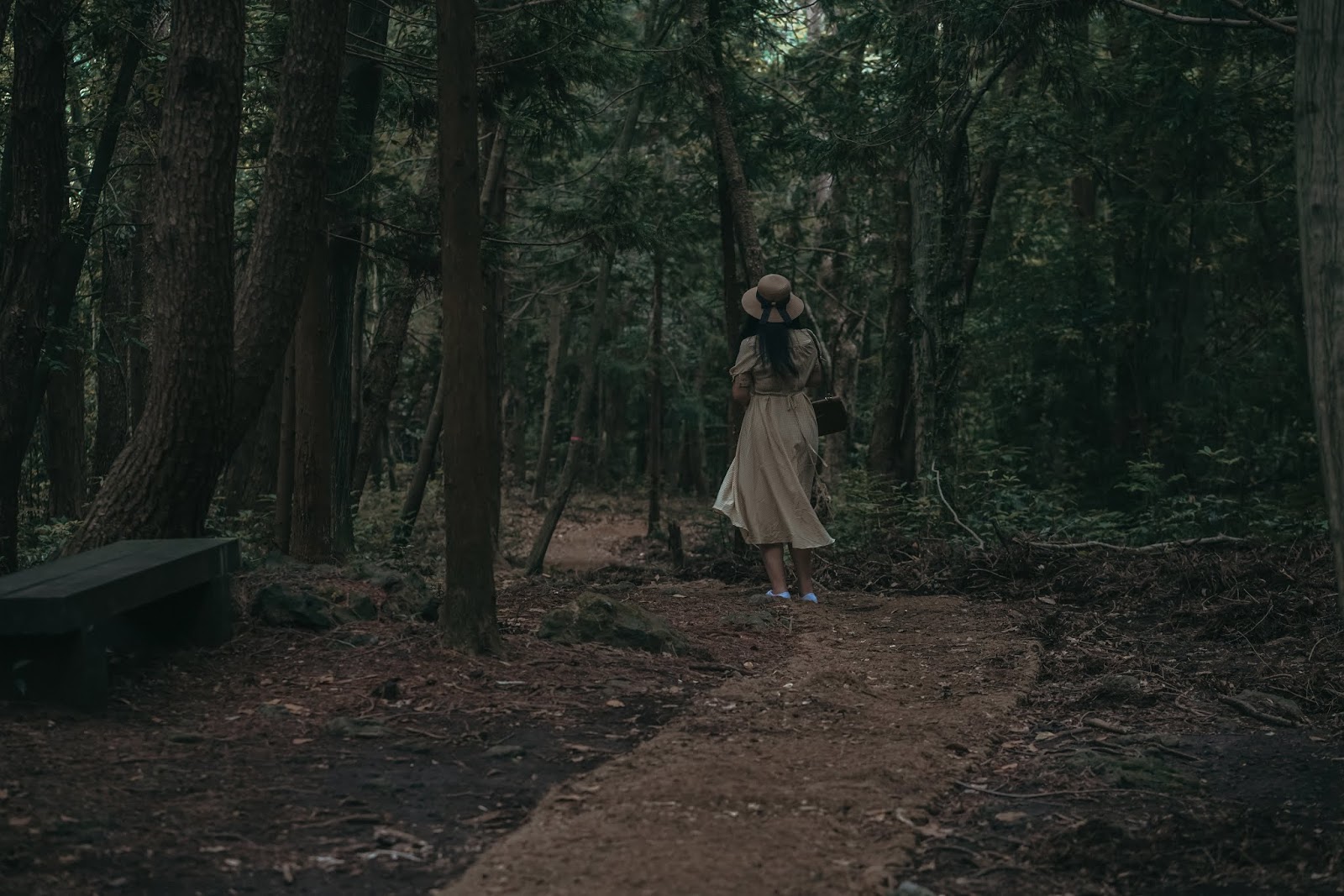 Refresh Mind, Body and Soul with Forest Therapy at Jeju Healing Forest ...