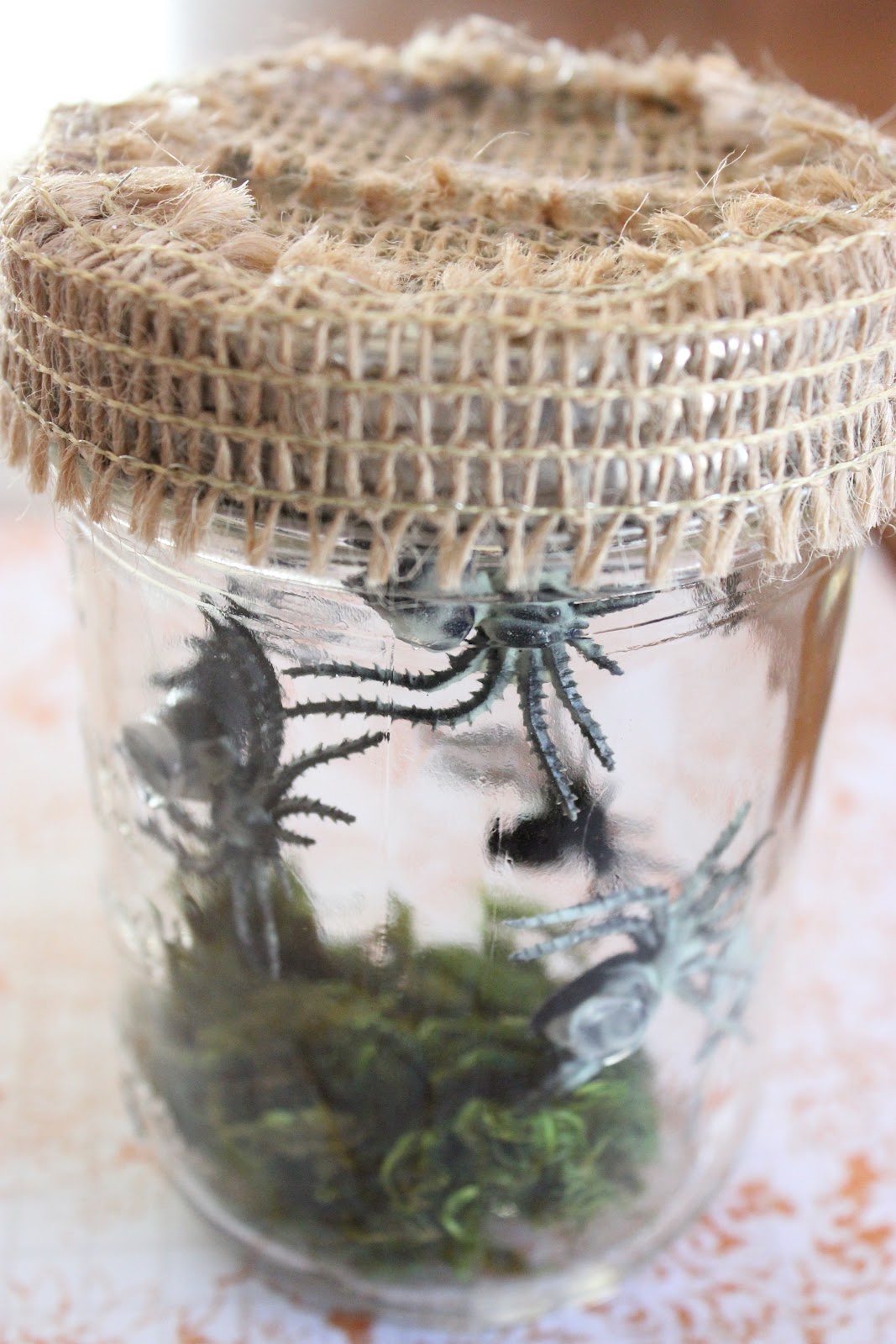 "Isabelle Thornton" Le Chateau des Fleurs: Glow in the dark Spider jar ...