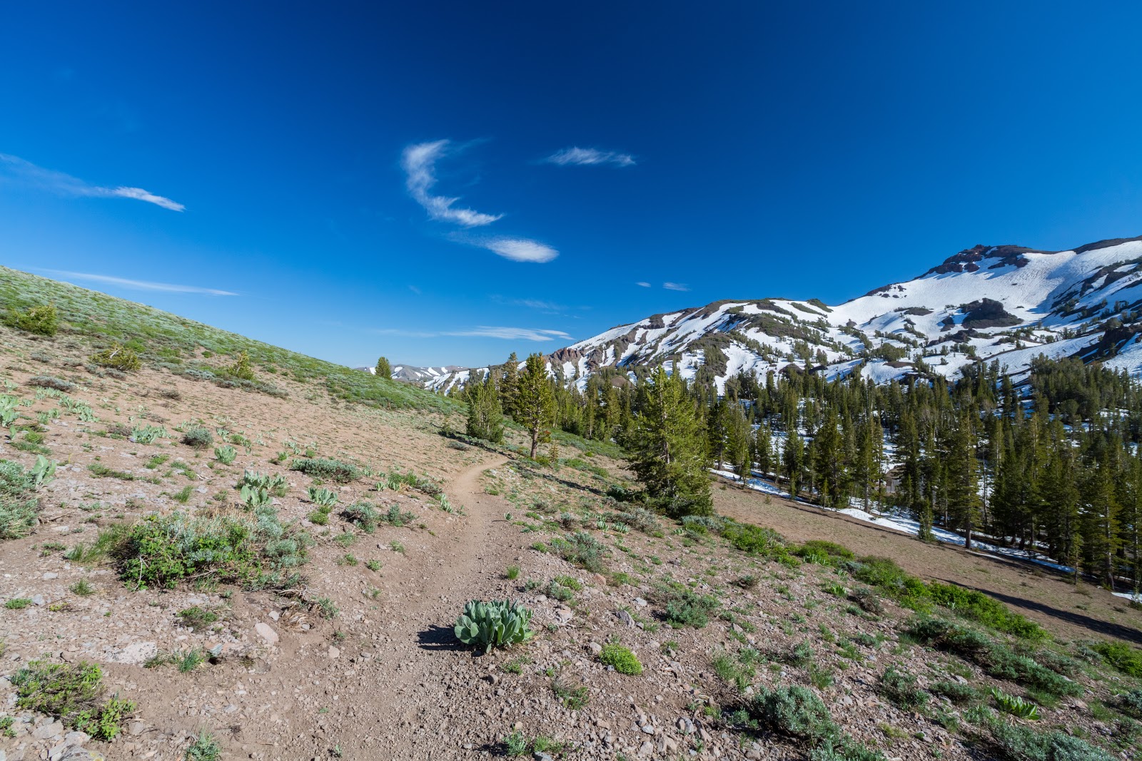 Naturetastic Blog: Donnell Vista, Sonora Pass, SR-108 (Part 5 ...