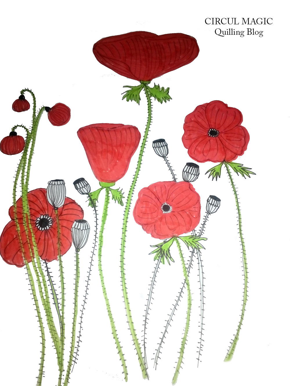 xiteen: Macii, muzele incepului de vara