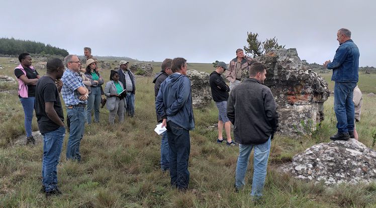 Exploring patch mosaic burning in Forestry Landscapes