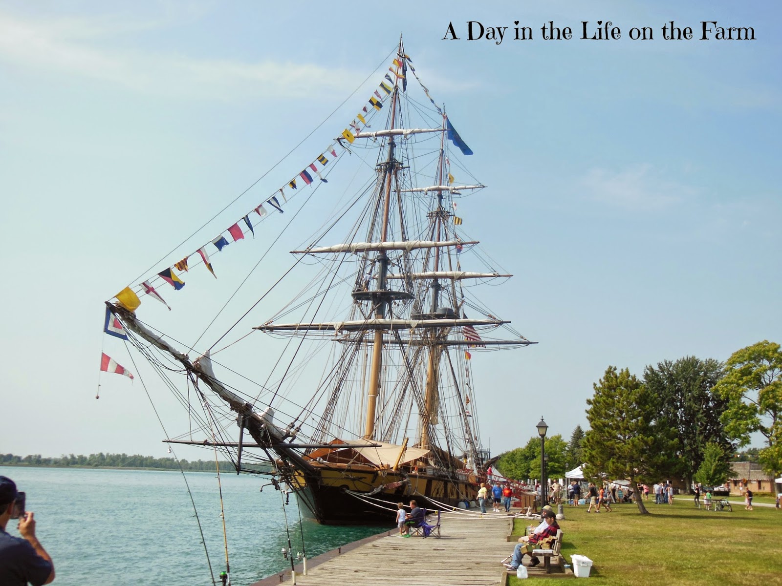 A Day in the Life on the Farm: Tall Ship Tales
