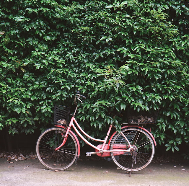 Haute Child in the City: Friday Eye Candy: bicycle built for two