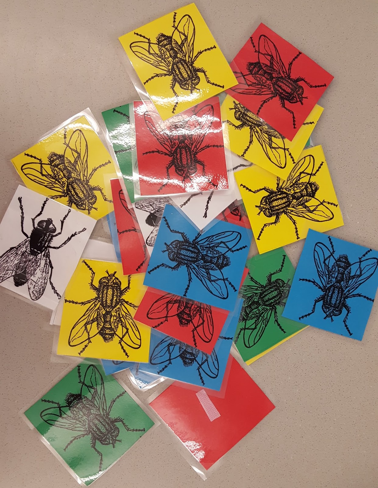 Fun with Friends at Storytime: Shoo Fly!