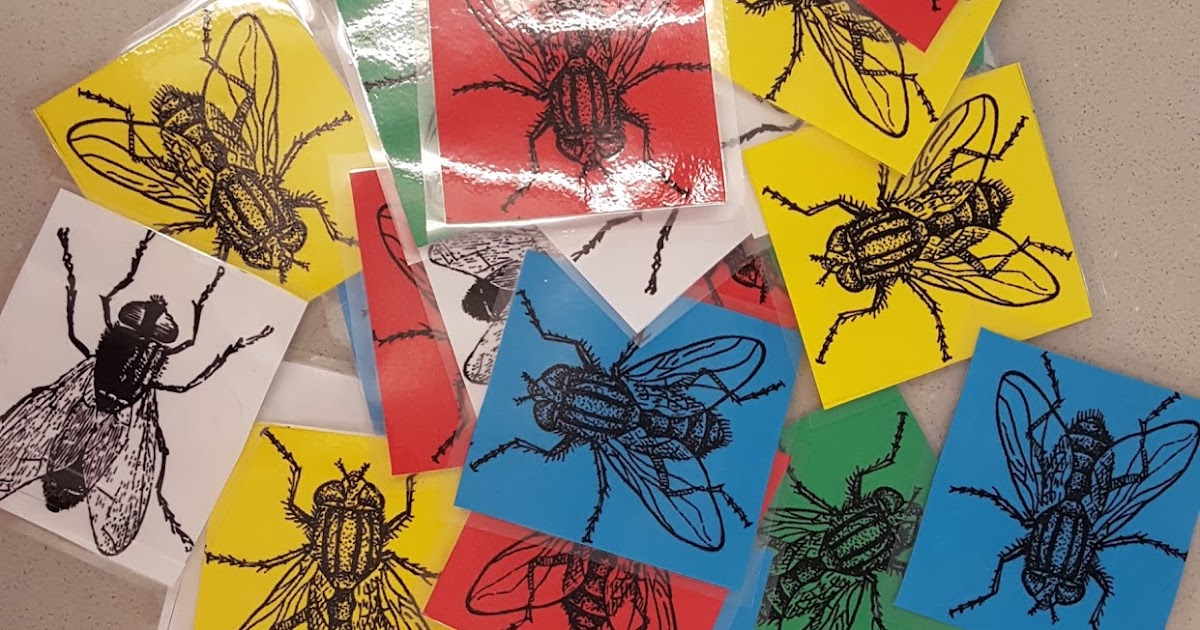 Fun with Friends at Storytime: Shoo Fly!