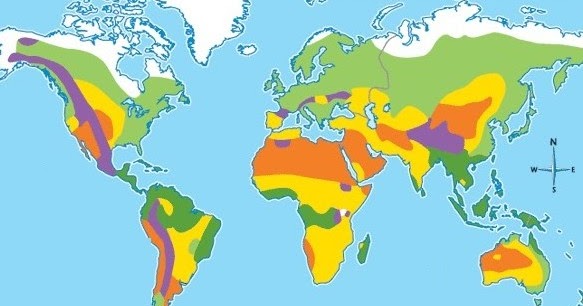 Montessori Anonymes : Les biomes: introduction