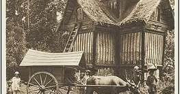 Tapanuli Selatan Dalam Angka: Laskar ‘Pelangi’ Sipirok, Letnan Sahala ...