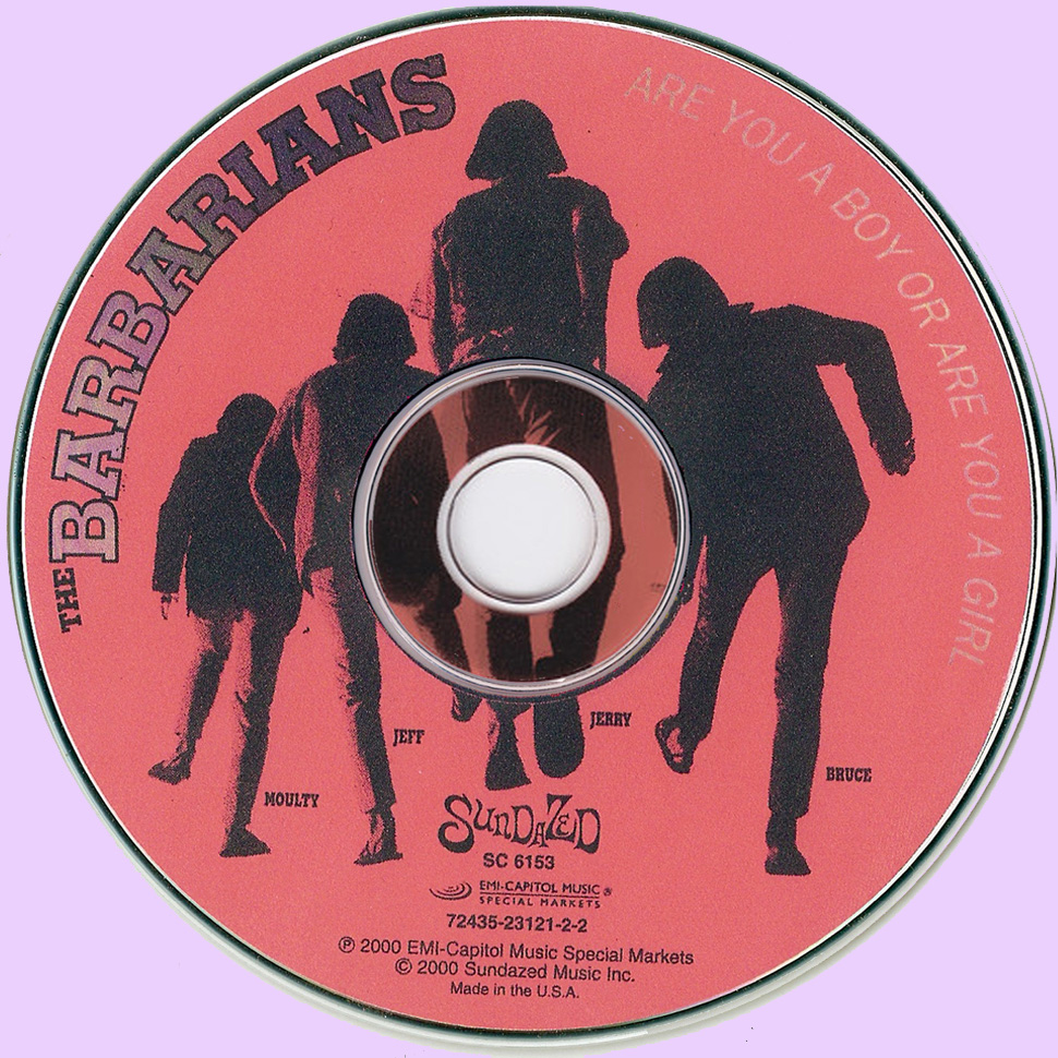 Rockasteria: The Barbarians - Are You A Boy Or Are You A Girl (1965 us ...