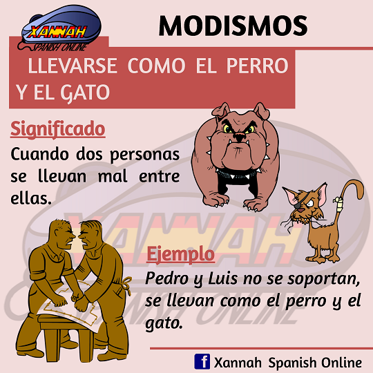 Xannah Spanish Online: Modismos: llevarse como el perro y el gato