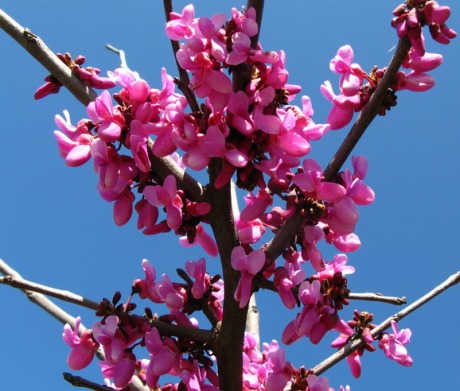 Αναστασία Οικονομοπούλου: ΚΟΥΤΣΟΥΠΙΑ, Η ΟΜΟΡΦΗ!