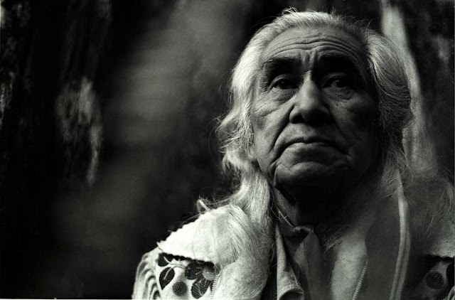 White Wolf : Feed Your Spirit: 19 Words of Wisdom By Chief Dan George