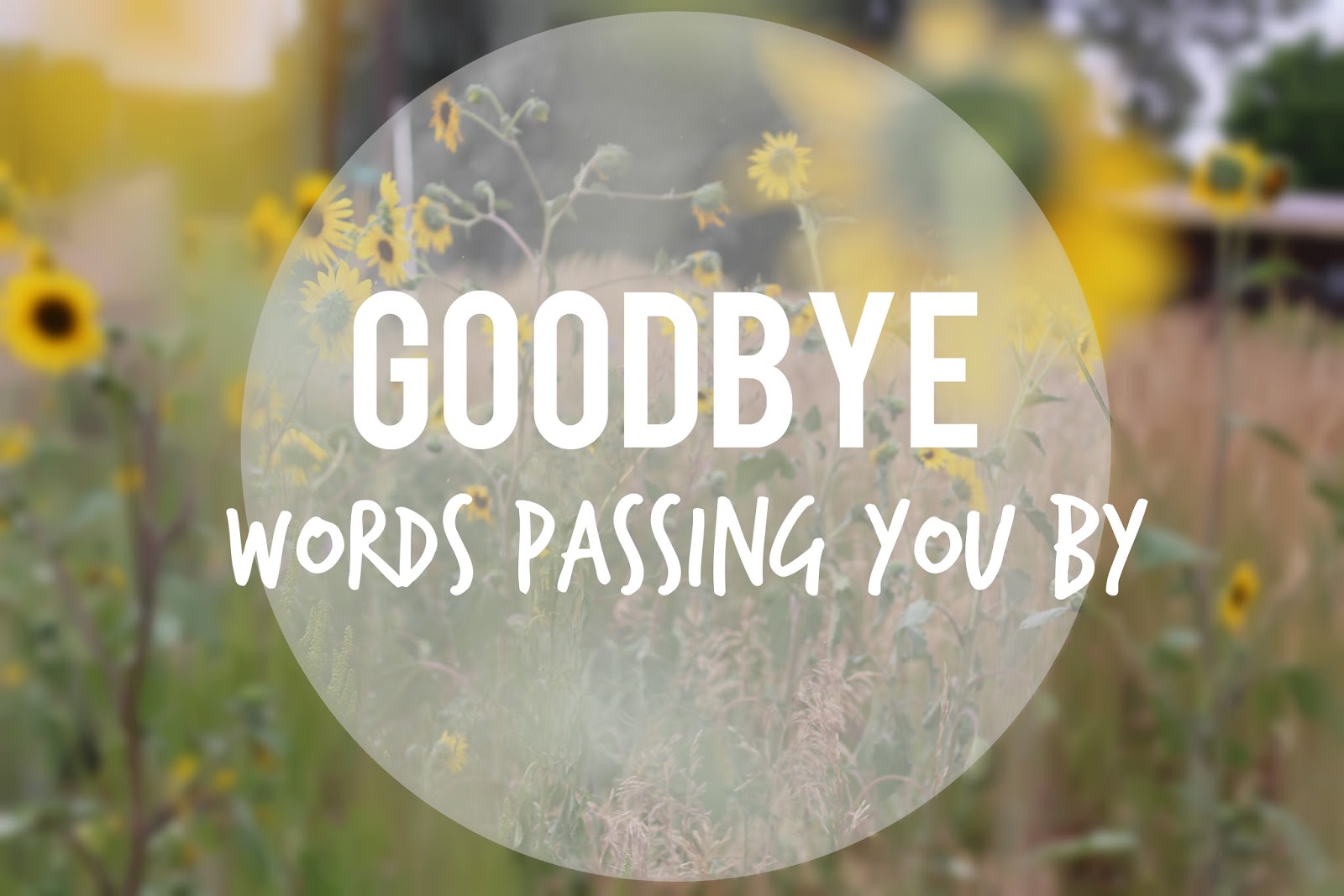 Words Passing You By