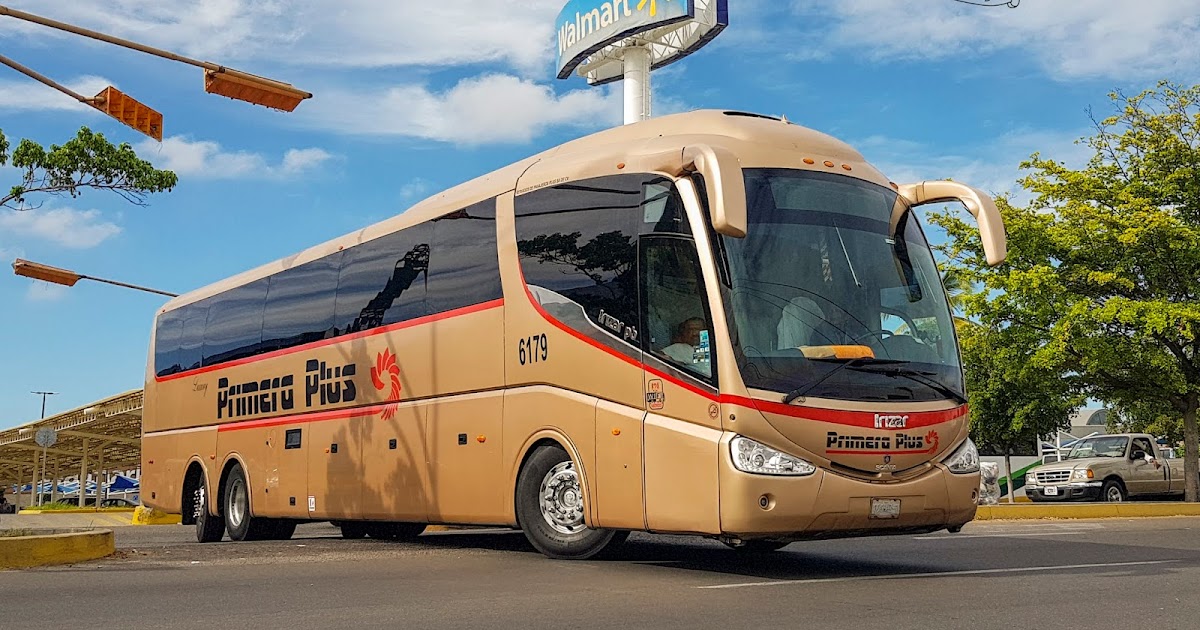 MAXIBUSES: PRIMERA PLUS