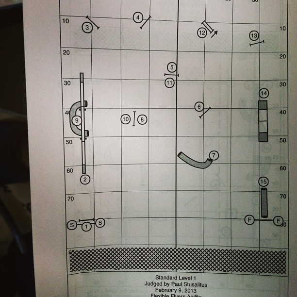 Dogbird Daily: CPE Agility Trial (Flexible Flyers)