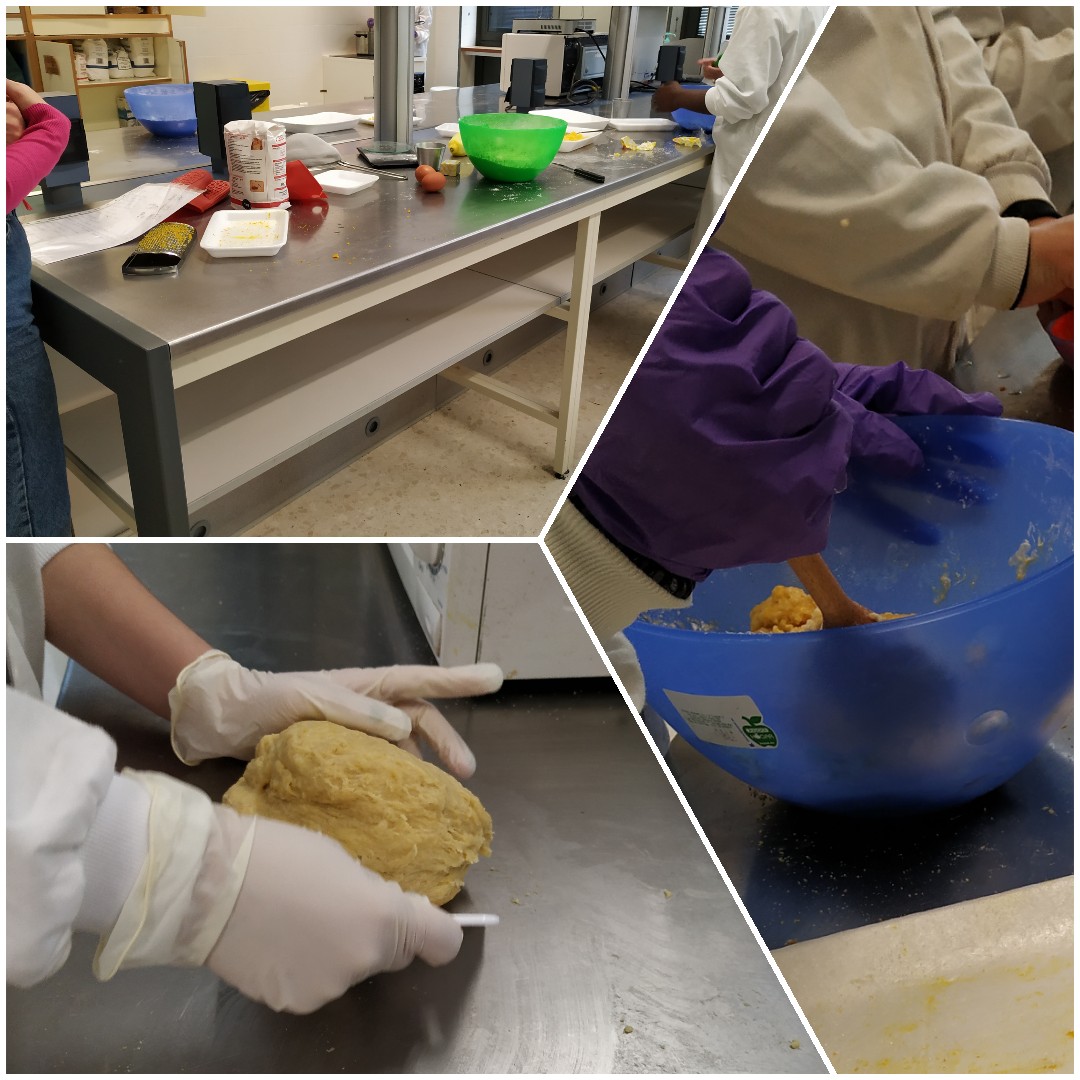 Biología, aprendizaje & diversión: Semana 6. ¡Semana polivalente ...