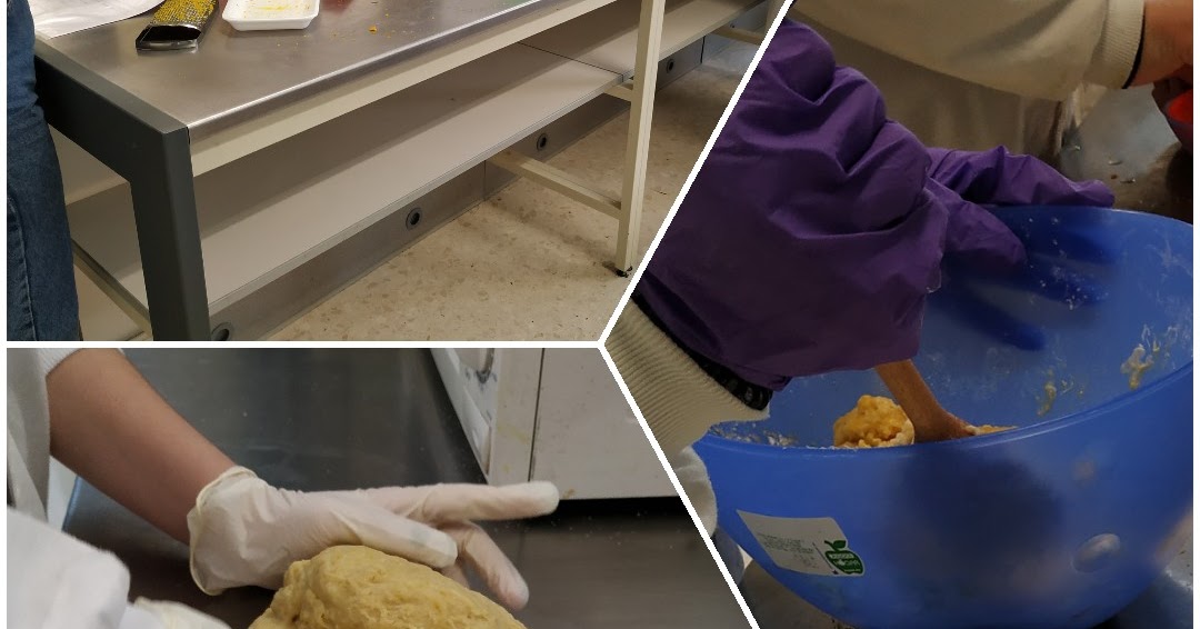 Biología, aprendizaje & diversión: Semana 6. ¡Semana polivalente ...