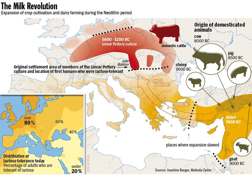 GW Human Evolutionary Genetics : Sedimentary Ancien DNA and the ...