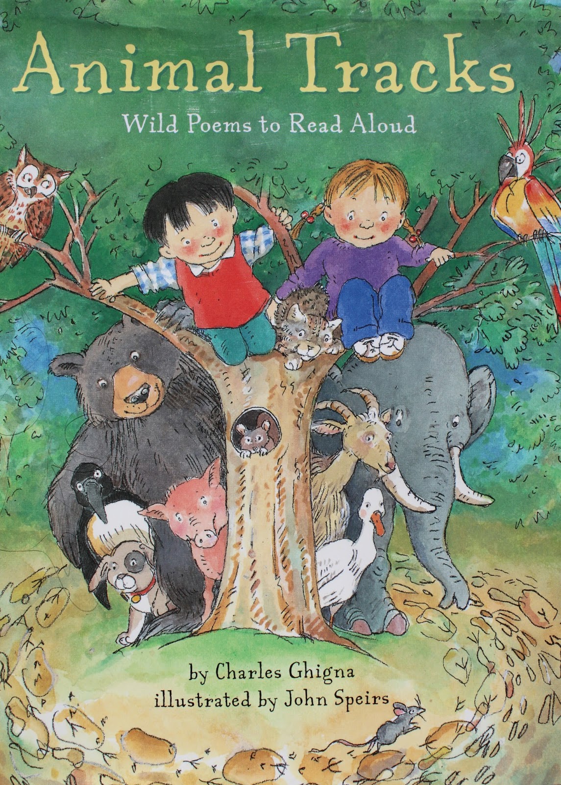 the marlowe bookshelf: Animal Tracks