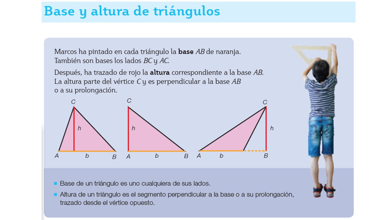 El Blog del "Profe" Juan (Mates): Base y Altura de Triángulos y ...