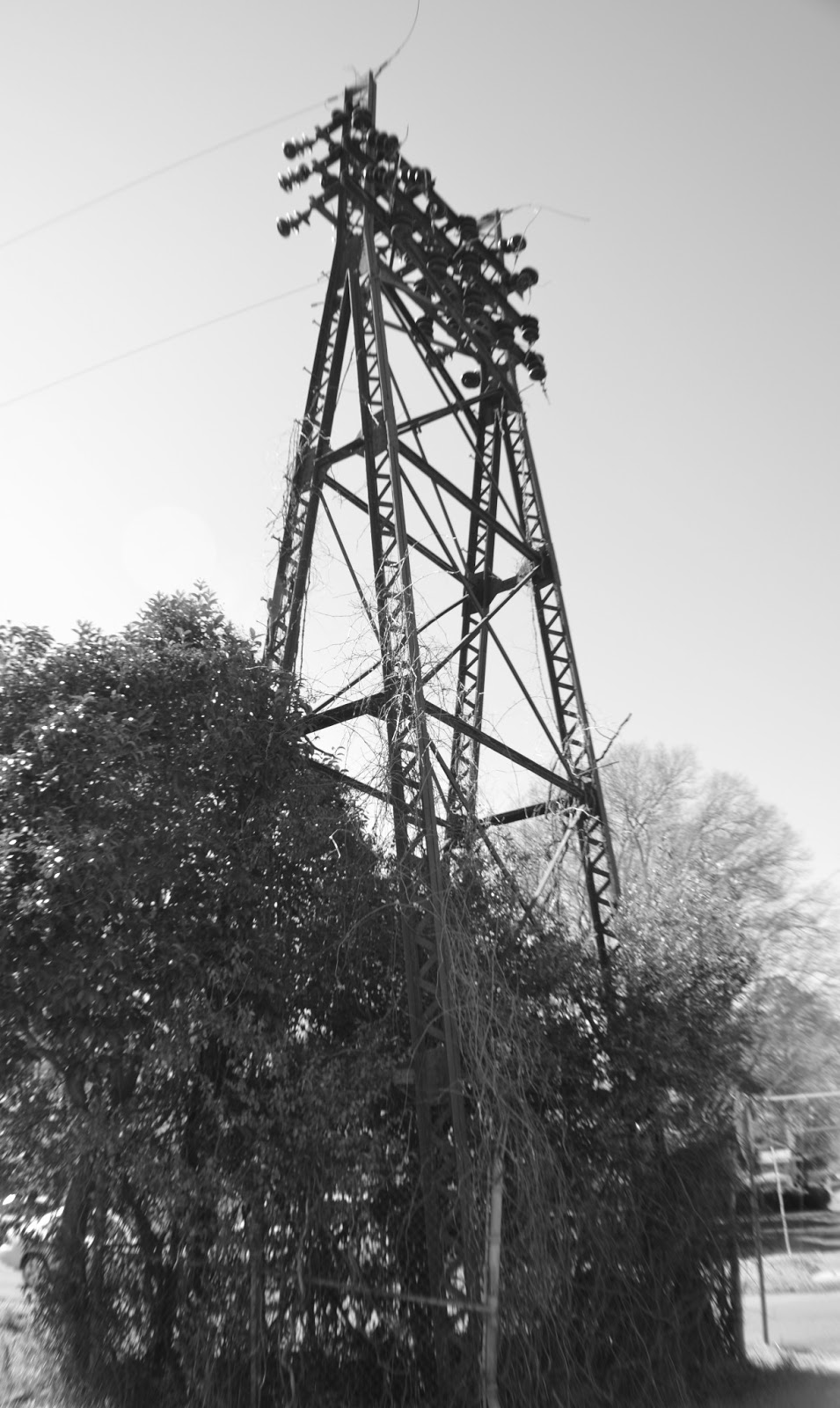 Forgotten Alabama: Wylam? Wy Not?