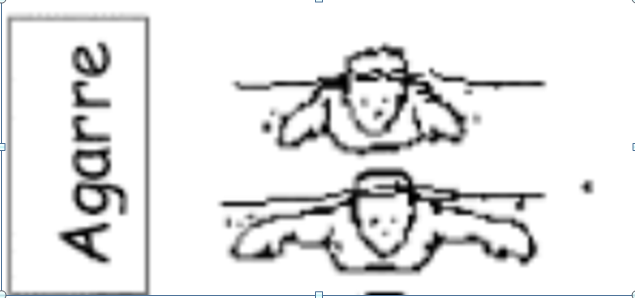 ESTILO PECHO : TECNICA ESTILO PECHO 🏊