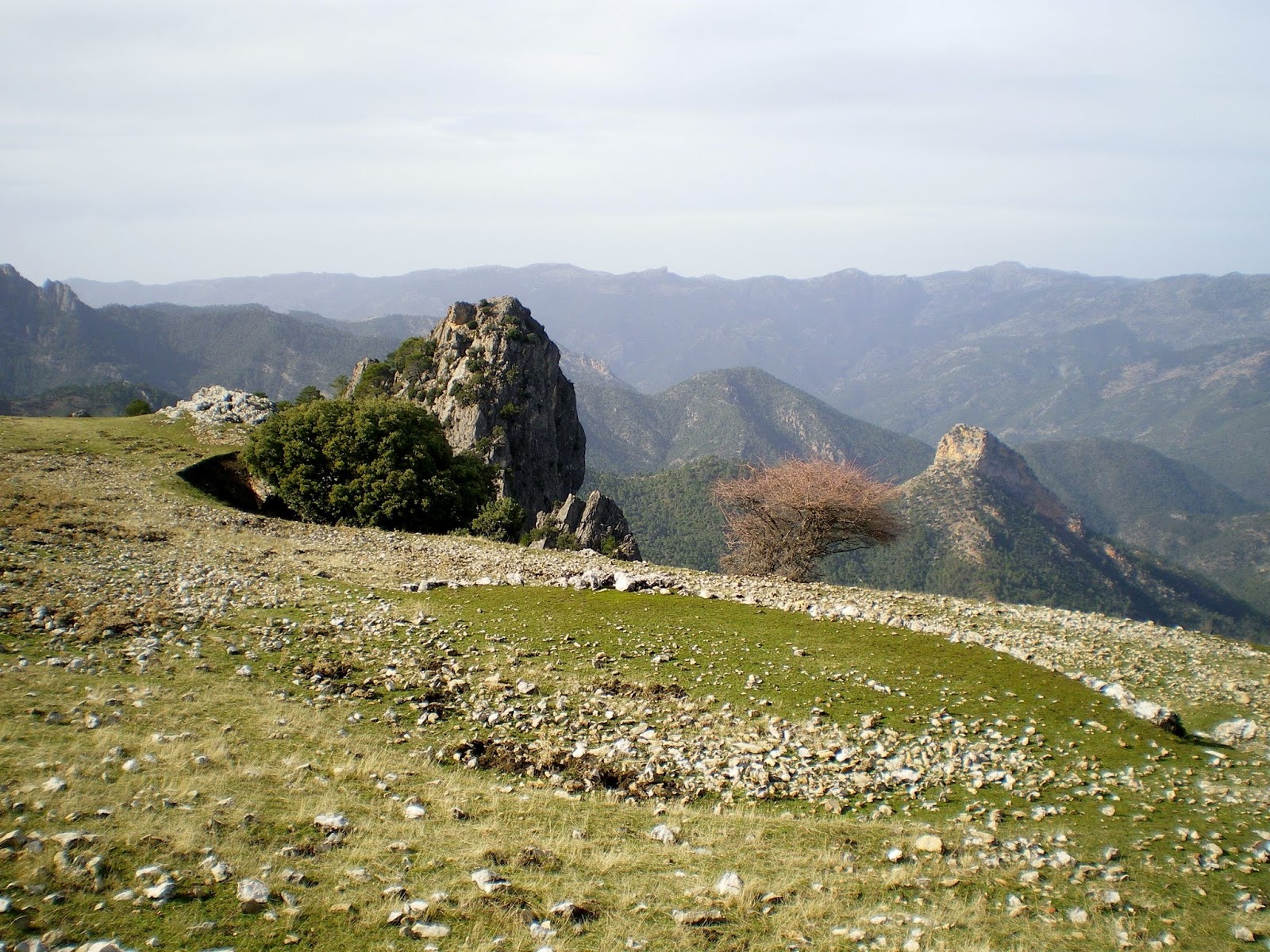 Club de Senderismo Los Escuderos de Rus (Jaen): CASTELLÓN DE LOS TOROS.